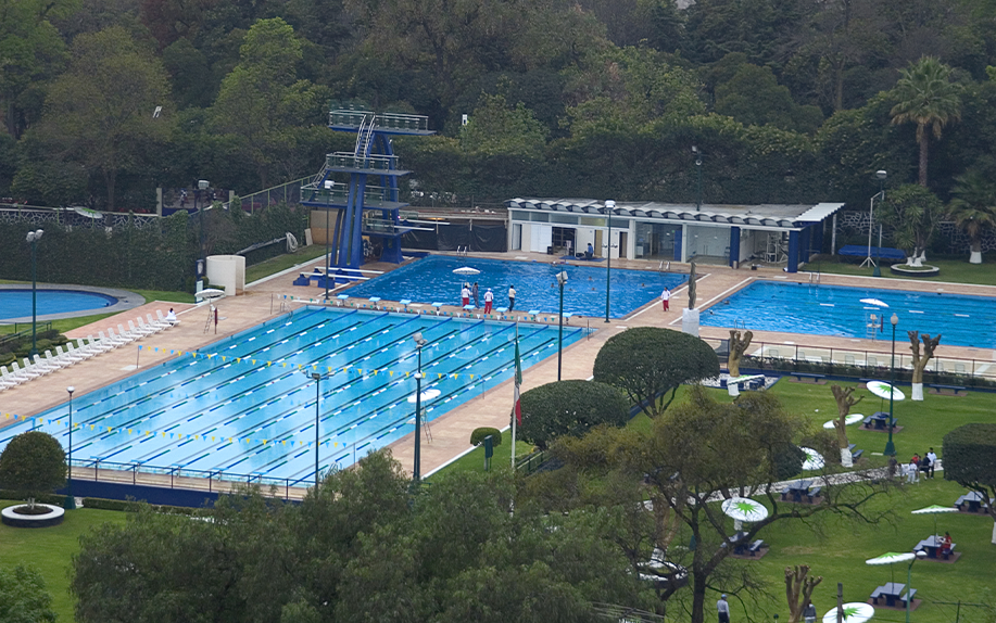 Zodiac Blog - What Makes a Good Competitive Diving Pool